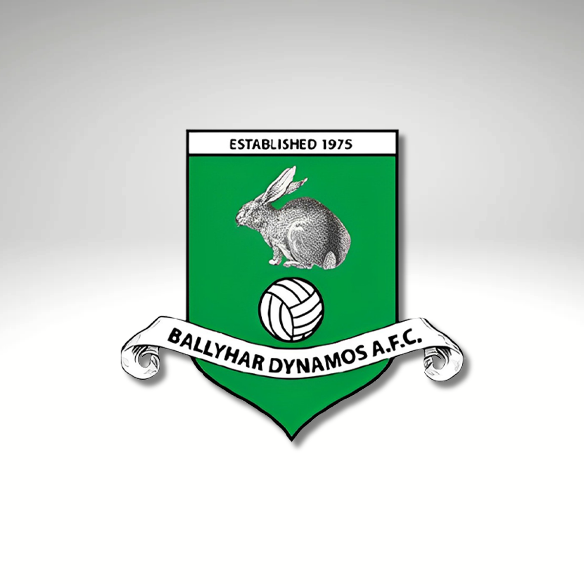 ClubShop - Soccer - Ballyhar Dynamos A.F.C. – DSsports