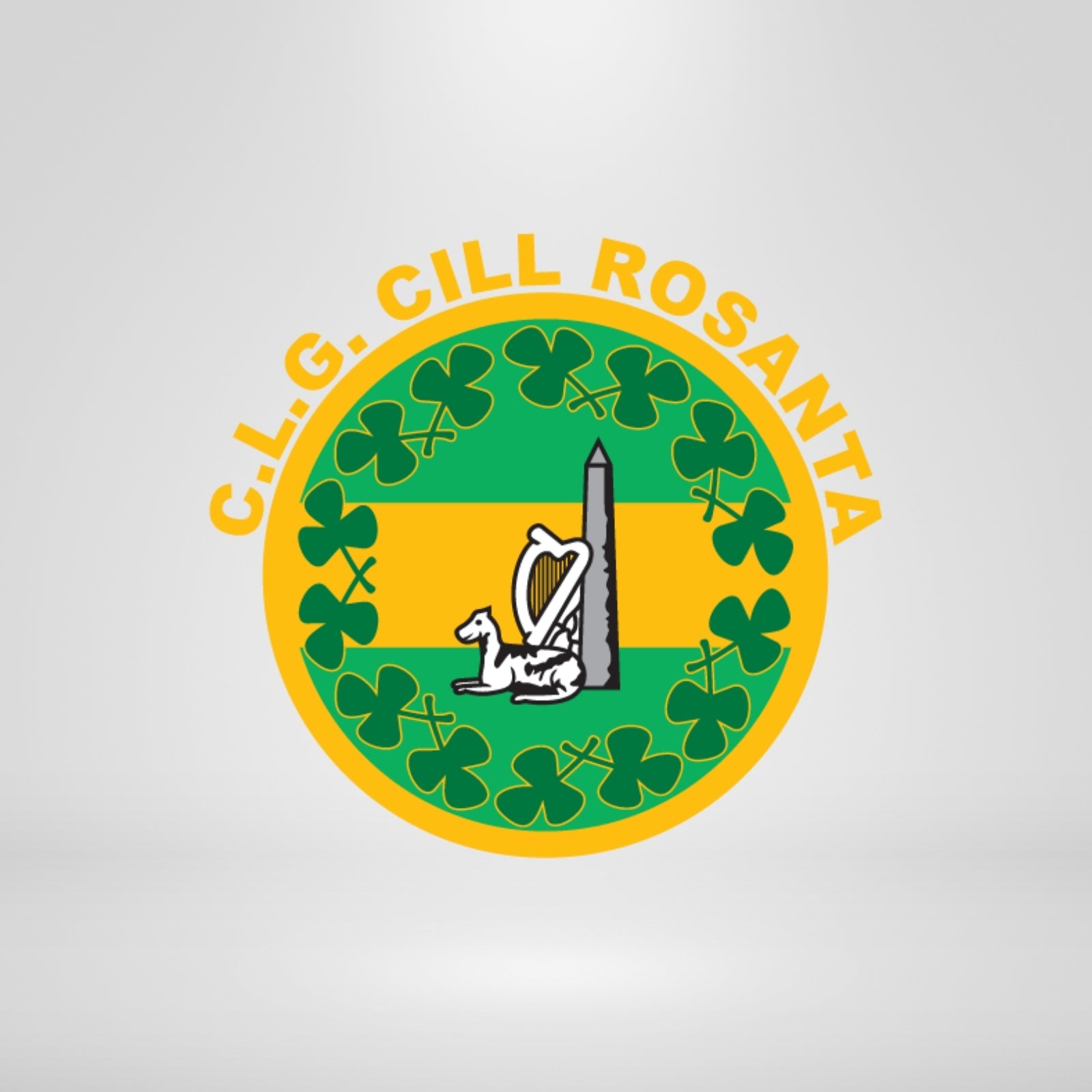 Kilrossanty GAA – DSsports